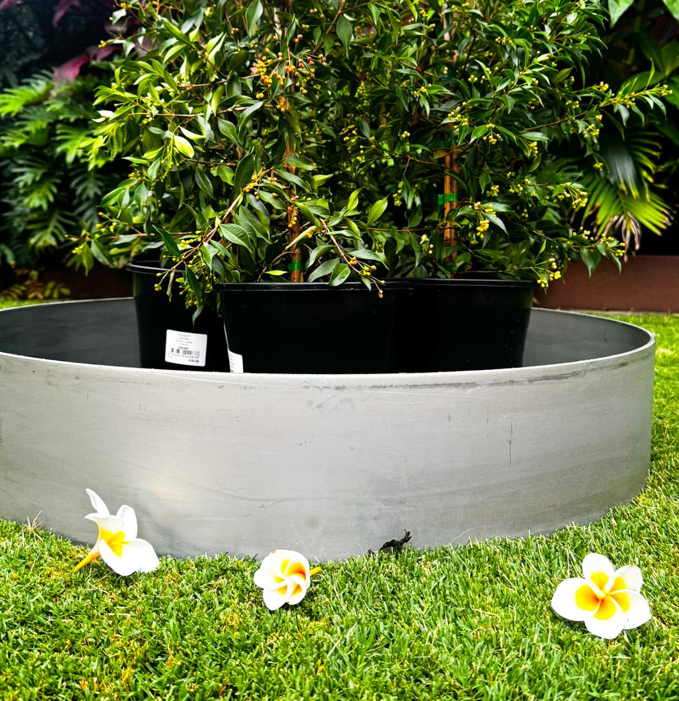 6mm Split Tree Rings (Galvanised) – Core Earth Designs